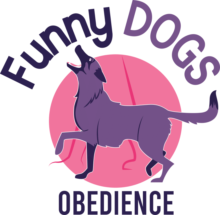 G.T. Funny Dogs - Prueba Obediencia - RSCE