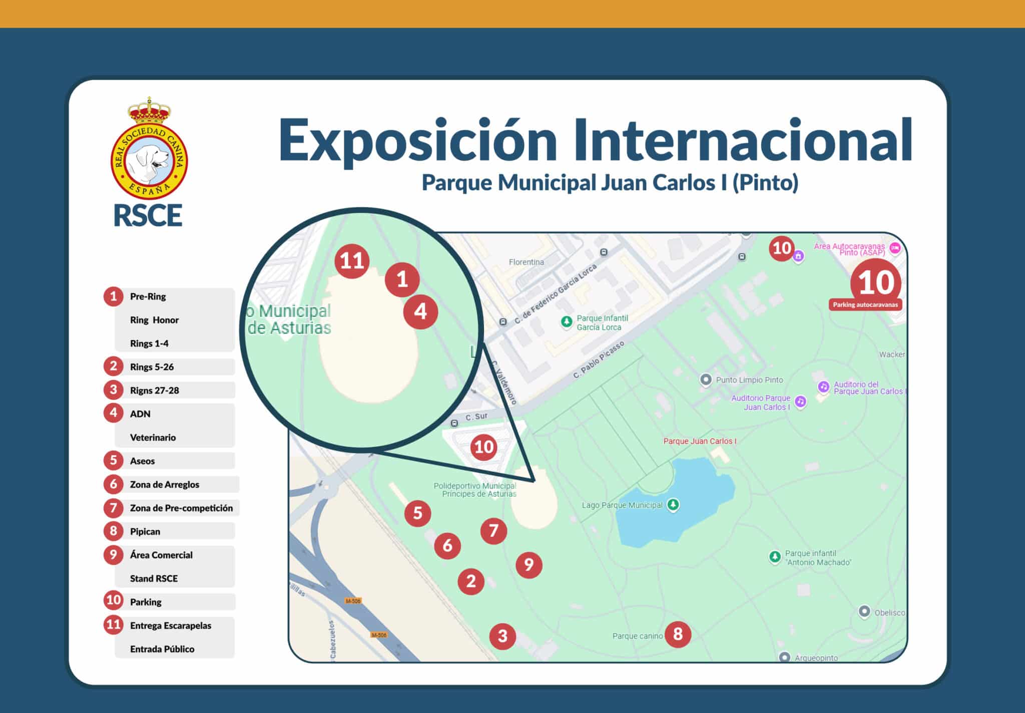 Exposiciones Internacionales RSCE 2025 - RSCE